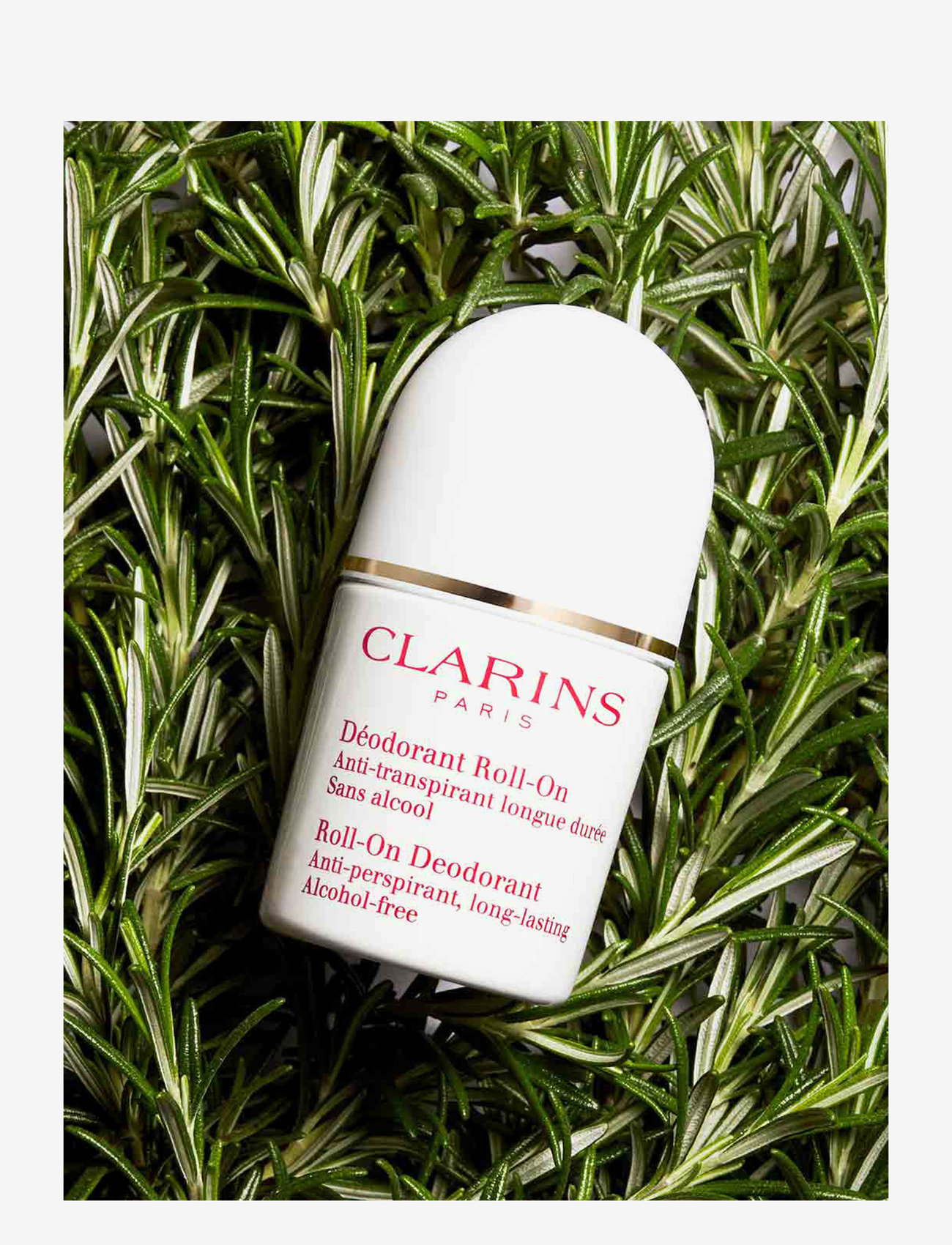 deodorante roll on – Lemons Beauty Salon